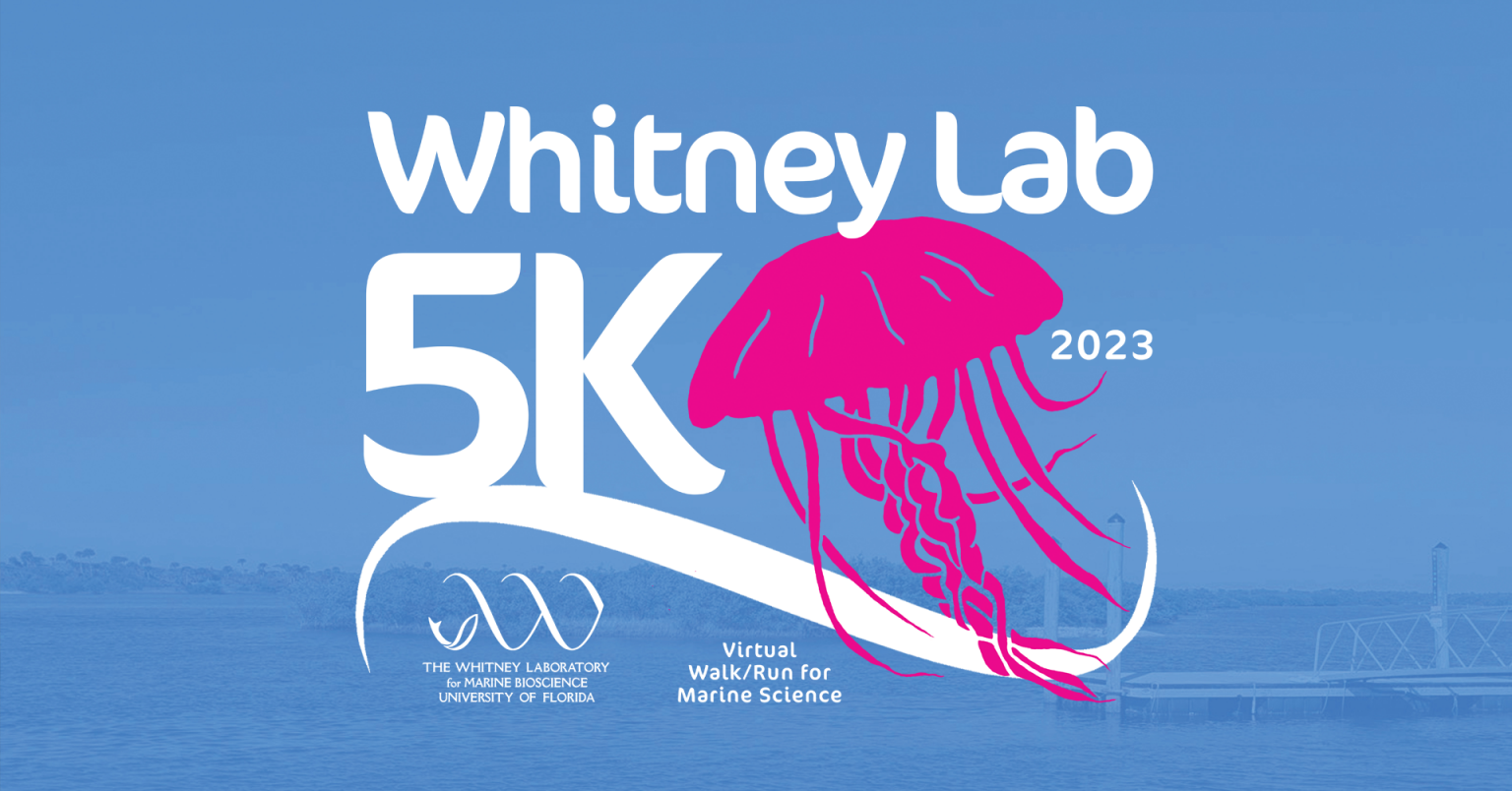 Whitney Lab Virtual 5K - Price Increases April 1! – HR Calendar